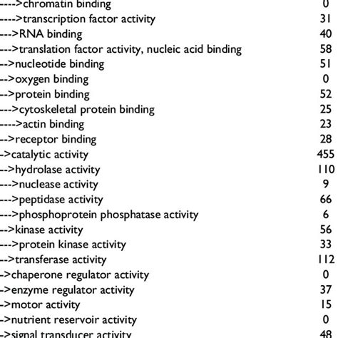 Go Molecular Function Classification Download Table