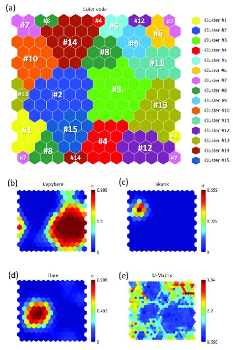 A Clustering Of 15 Regions With High Similarity Obtained Based On The