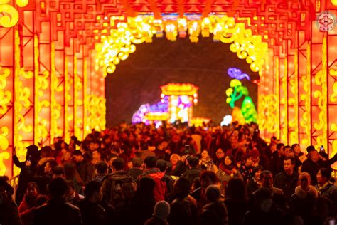 灯组欣赏—自贡灯会官方网站