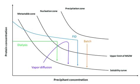 13 Schematic Representation Of A Two Dimensional Phase Diagram As A