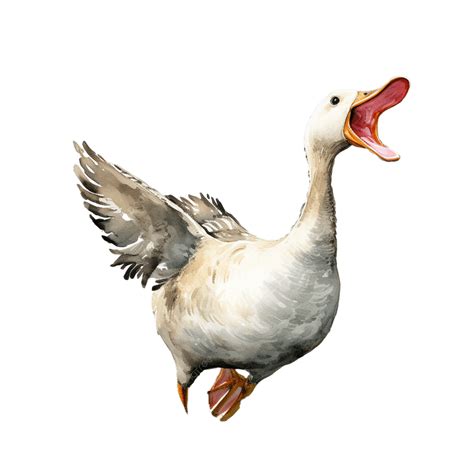 بط Png تنزيل 6600 موارد Png مع خلفية شفافة صفحة 128