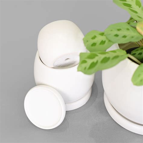 화분 세라믹 화분 마이플랜트