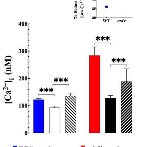 The Role Of Extracellular Ca²⁺ In Hypoxia Induced Ca²⁺ I Overload
