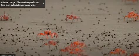 Umoncton Professor Using Mathematics To Solve Real World Problems Springboard Atlantic