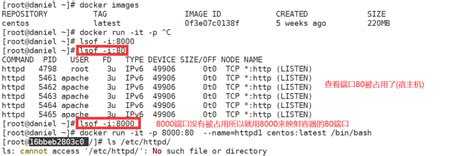 Docker技术深度解析:写时复制、联合文件系统与容器应用实例 Csdn博客 Docker技术深度解析:写时复制、联合文件系统与容器应用实例 Csdn博客