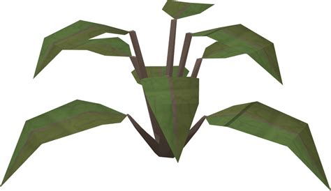 Plant Shortcut The Runescape Wiki