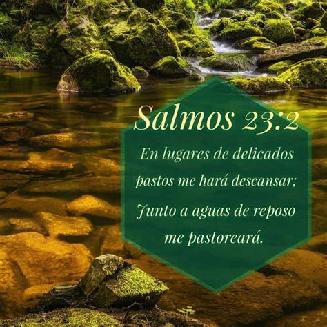 Conoce El Salmo 23 De La Biblia CatÓlica