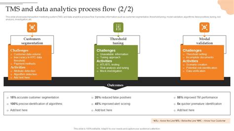 Creating Transaction Monitoring TMS And Data Analytics Process Flow Elements PDF