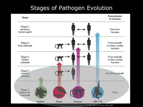 Ppt Long Term Ecological Monitoring Plots As Sentinel Sites For Emerging Infectious Disease