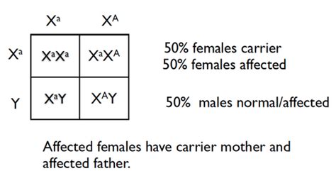 Bio 130 Exam 1 Part 4 Flashcards Quizlet