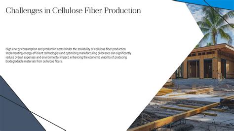 Challenges In Cellulose Fiber Production Ppt Template St Ai Ss Ppt