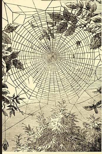Spider Composition Notebook Web Black Goth School Supplies Books By Bobby Books