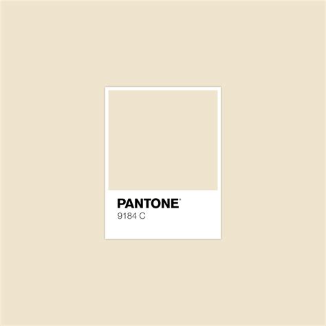 Pantone Sand 9184 C Color Palette Design