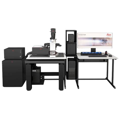 Fluorescent Confocal Microscopy Scientific Technical Services