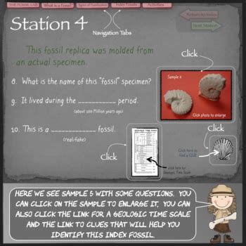 Fossil Lab By James Gonyo TPT