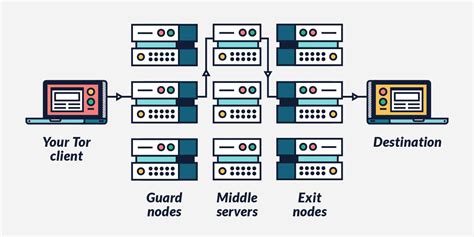 Tor Vs Vpn Which Should You Use In 2026