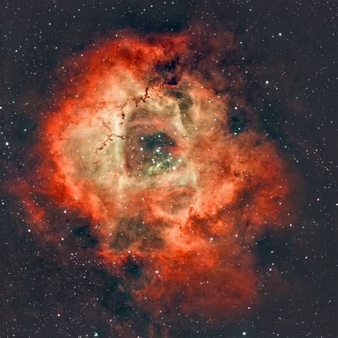 C49 Rosette Nebula Members Albums Cloudy Nights