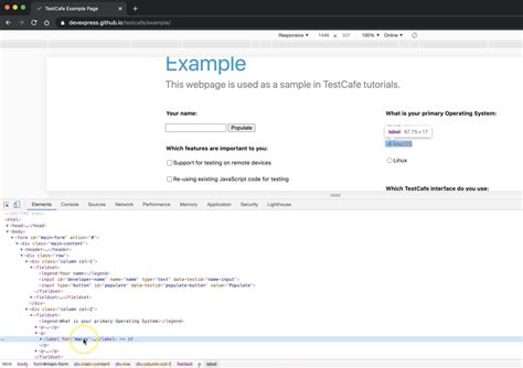 Chapter First Test With Testcafe