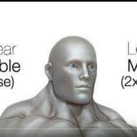 Stream Mozart 2x Speed Left Ear Bible In Chinese Right Ear By Clarence