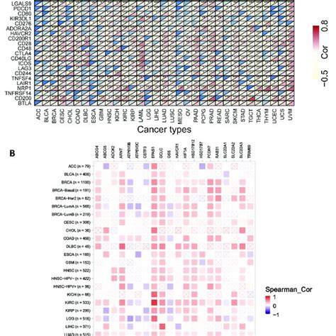 Gsea Analysis In Six Types Of Cancers Go Functional Annotation Of The