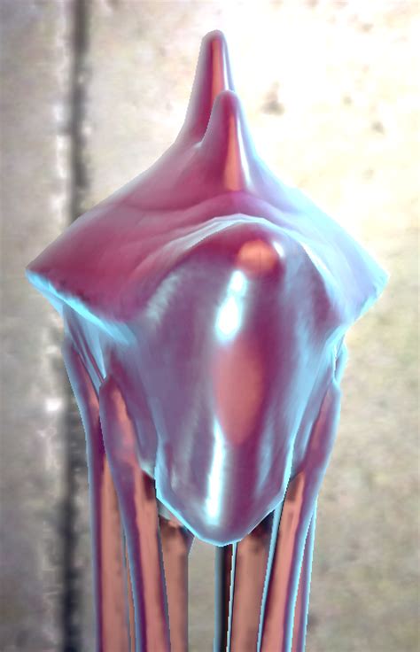 Categoríapersonajes Hanar Mass Effect Wiki Fandom