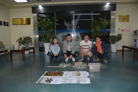 长航重庆警方破获1起非法毒鱼案 捕捞