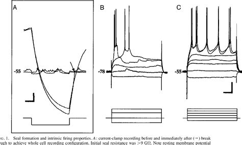 Figure 1 From Spatio Temporal Subthreshold Receptive Fields In The