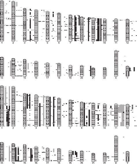 Summary Of Genome Copy Number Alterations Cnas Detected By Download Scientific Diagram
