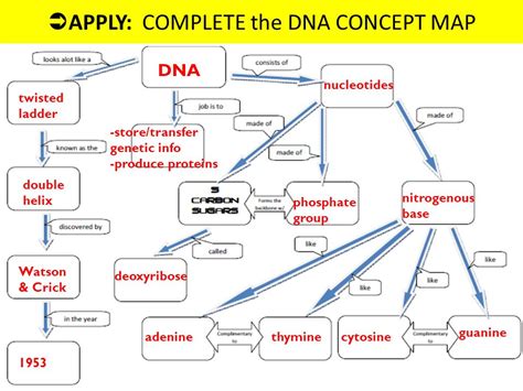 Dna Structure Concept Map Oconto County Plat Map