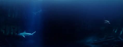 海底世界海洋生物背景背景图片素材下载 图片编号qbbpxogk 免抠素材网