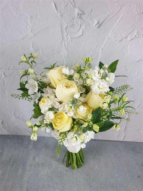 N20미니델피늄파크