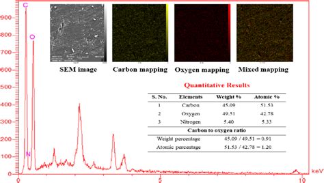 Sem And Edx Mapping Of The Extracted Dye Powder Download Scientific