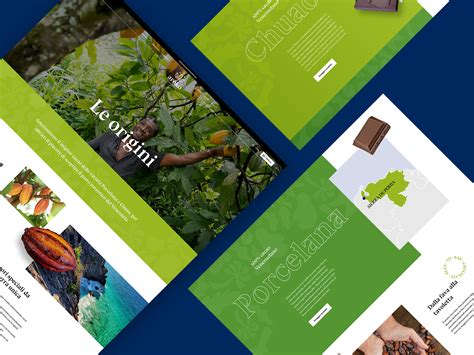 Aroko Notorious Agency