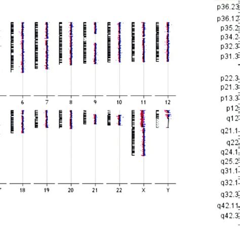 Array Comparative Genomic Hybridization Results Showing 57252kb Of