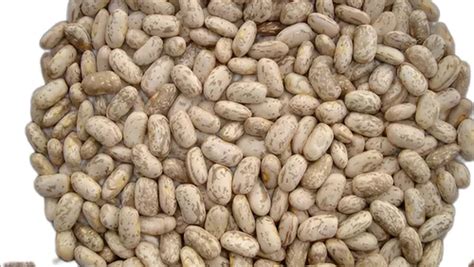 Frijol Pinto Saltillo 25kg Envío Gratis