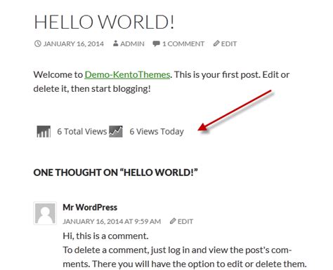 How To Track And Display Wordpress Post Views With And Without Plugin