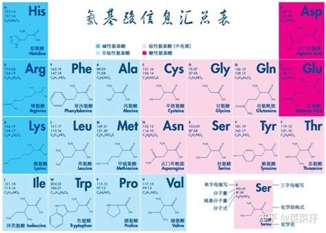 氨基酸的种类究竟有多少呢？ 知乎