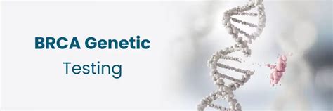 Brca Genetic Testing And Cancer Risk Evaluation