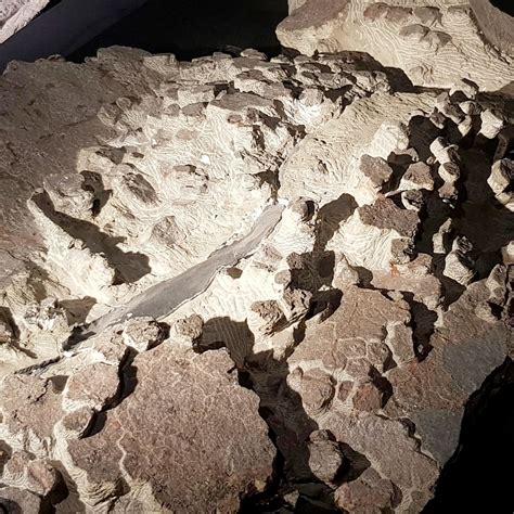 Terry Pratchett Terry Pratchett