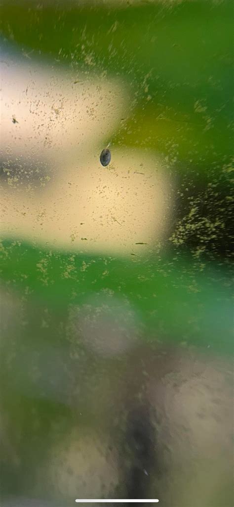 Bugs I Might Cry If Its Not One Thing Its Another Can Anyone