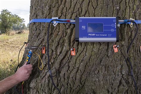 Home Wood Testing Iml