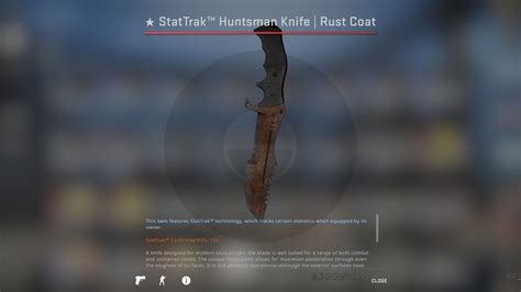 What Should I Name My Huntsman Rust Coat R Csgo