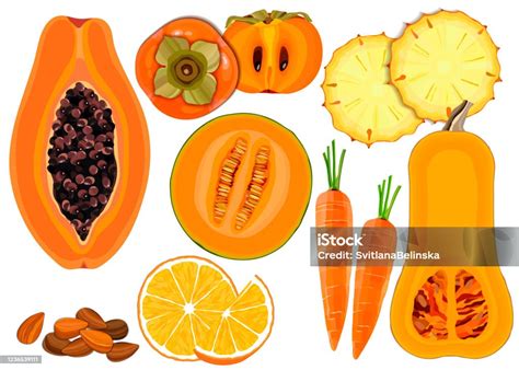 흰색 배경에 신선한 오렌지 색 야채와 과일 원시의 컬렉션 칸탈루프 멜론에 대한 스톡 벡터 아트 및 기타 이미지 칸탈루프 멜론 감귤류 과일 개체 그룹 Istock