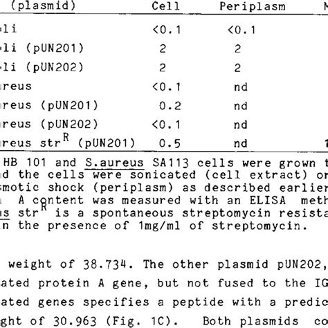 Production And Localization Of Protein A Activity 9 Gml Download Table