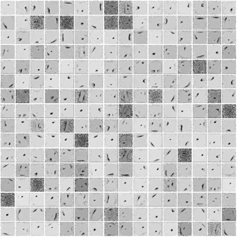 Features Of One Hidden Layer Autoencoders Which Have 256 Rectified
