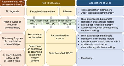Summary Of Mrd In Older Adult Aml Patients Characteristics Of Mrd In Download Scientific