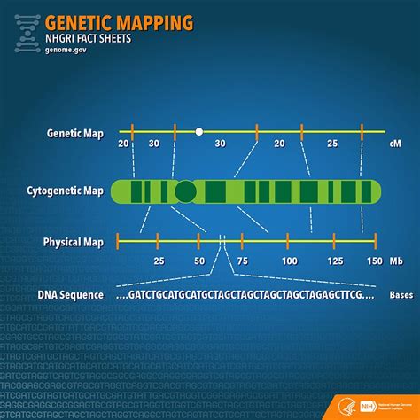 Genetic Map Physical Map