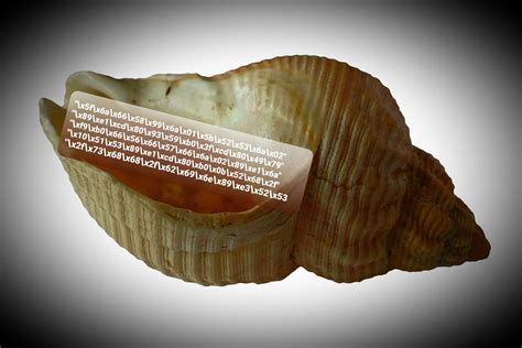 Shellcode Analysis Lets See What Shellcodes Are And How By Barak Aharoni Infosec Write Ups