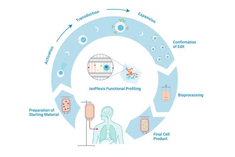 The Power Of Multi Omics At The Single Cell Level Todays Clinical Lab