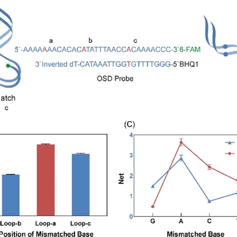 Optimization Of The Osd Probe Design A Illustration Of Mismatched Download Scientific